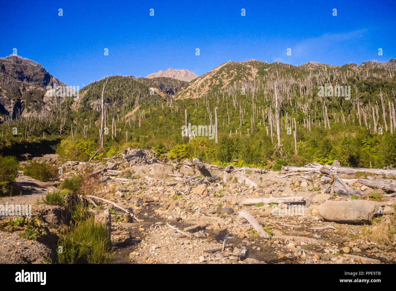 Panoramic from the top of Chaiten volcano in patagonia, Chile. Detail ...
