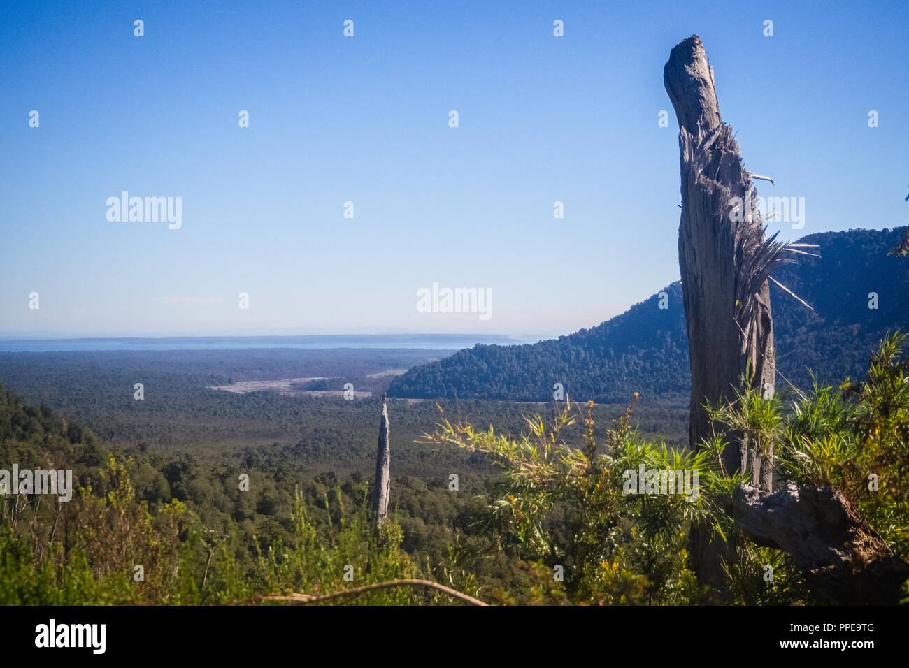 Panoramic from the top of Chaiten volcano in patagonia, Chile. Detail ...