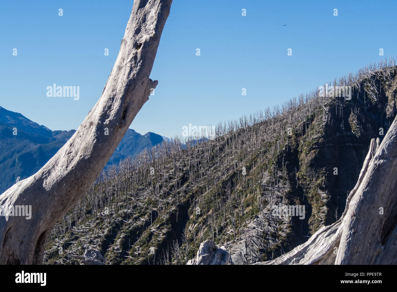Panoramic from the top of Chaiten volcano in patagonia, Chile. Detail ...