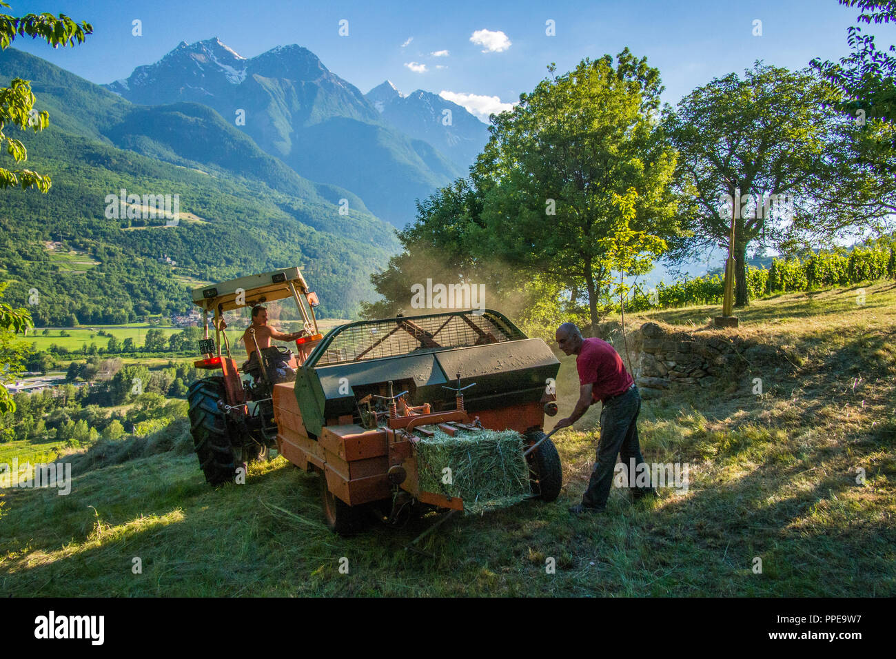 Hay making hi-res stock photography and images - Alamy