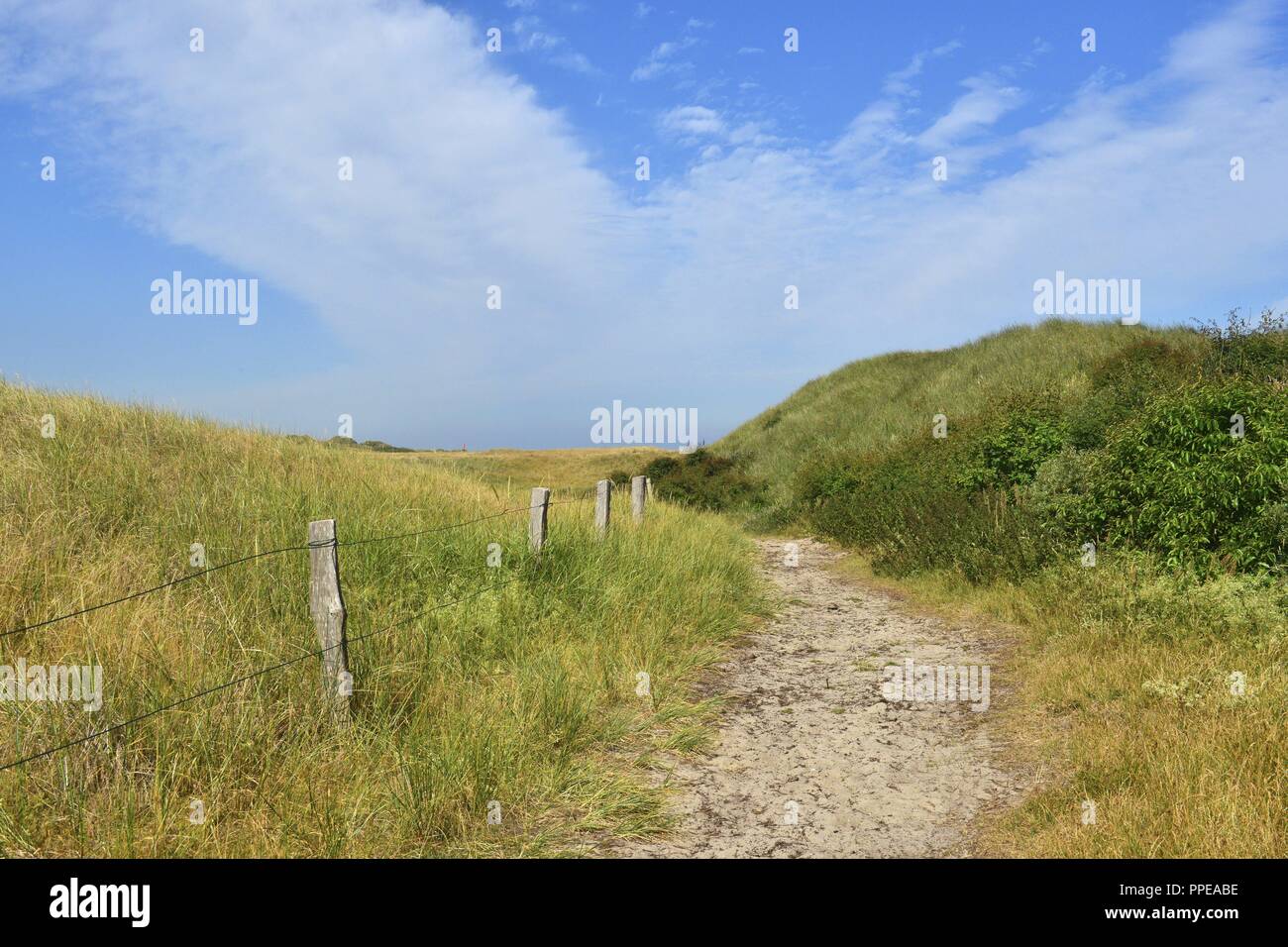 Sandy way through the dunes in the west of the East Frisian Island ...