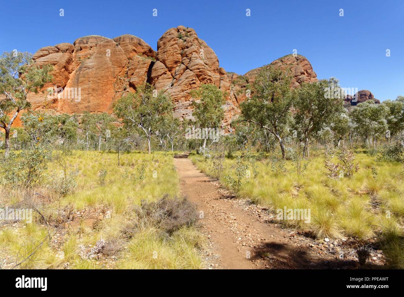 Sandstone rock formation, Purnululu National Park, Kimberley, Northwest ...