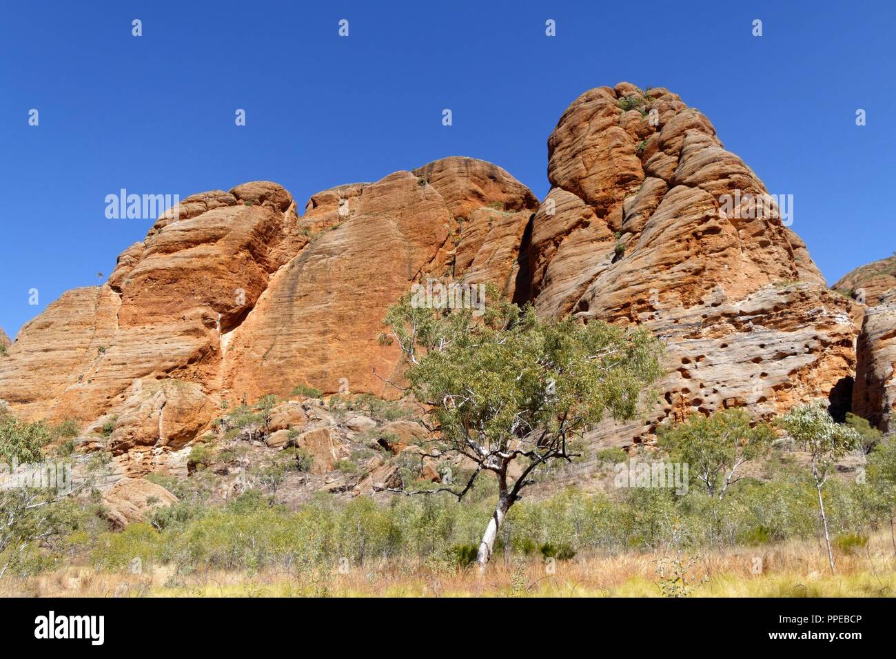 Sandstone rock formation, Purnululu National Park, Kimberley, Northwest ...