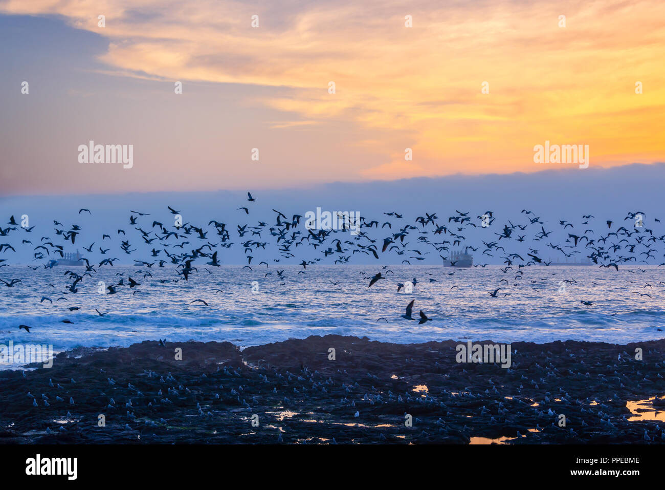 Pacific ocean at sunset hi-res stock photography and images - Alamy