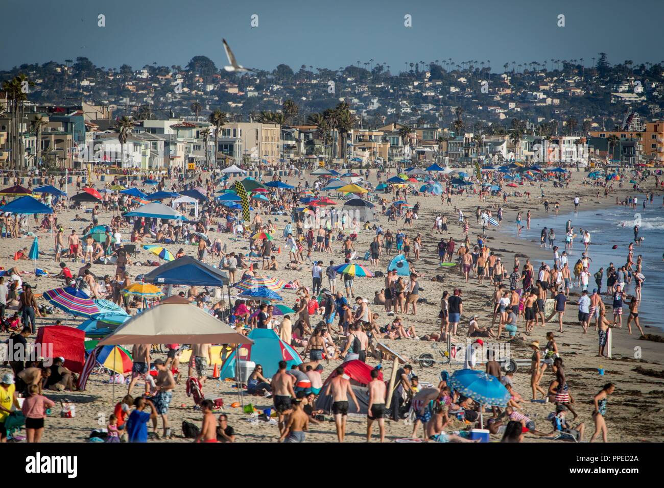 Crowded beach in Pacific Beach, San Diego, in July 2018. | usage ...