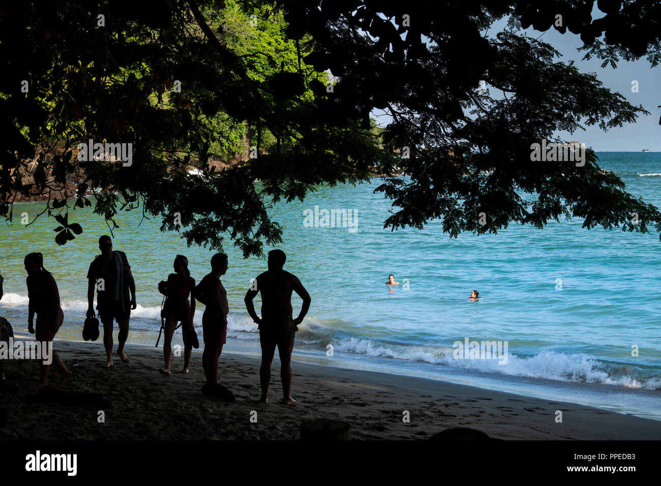 Beach scenes, Corcovado National Park, Osa Peninsula, Costa Rica Stock Photo - Alamy