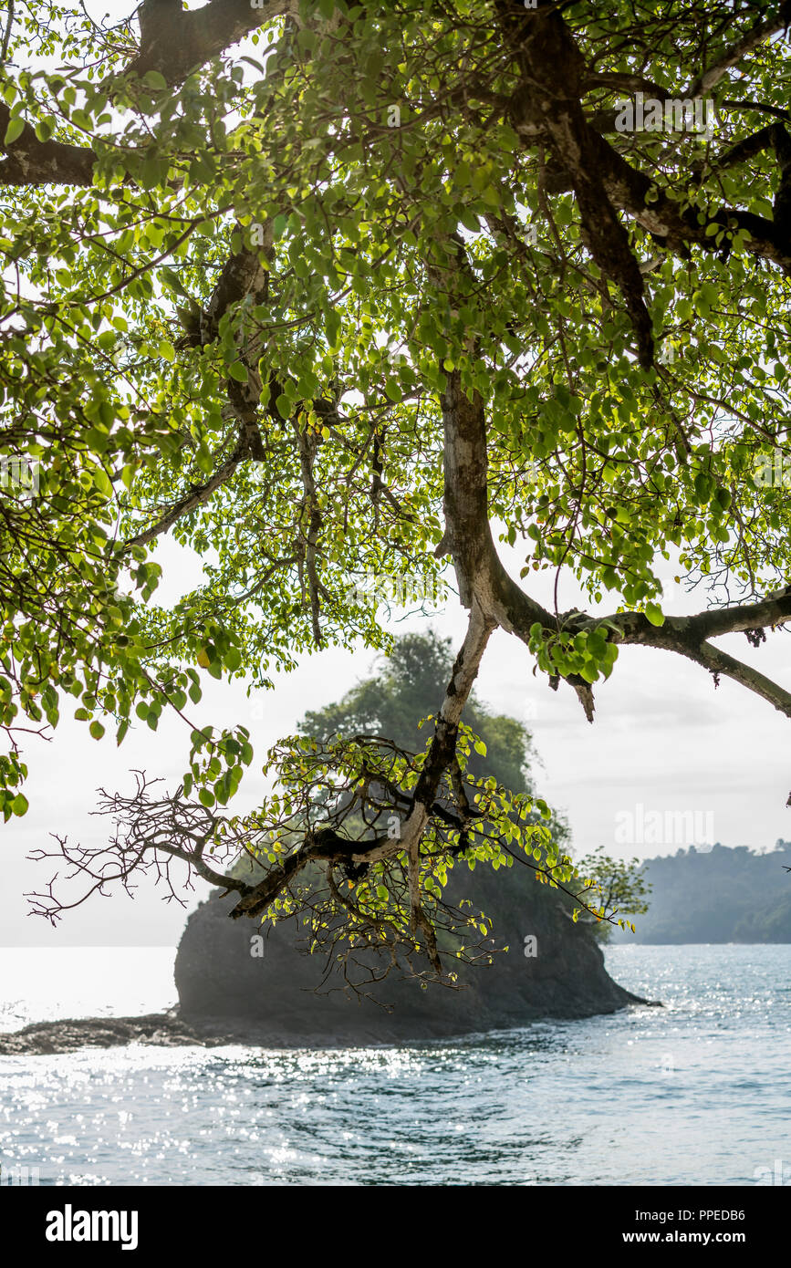 Beach scenes, Corcovado National Park, Osa Peninsula, Costa Rica Stock Photo - Alamy