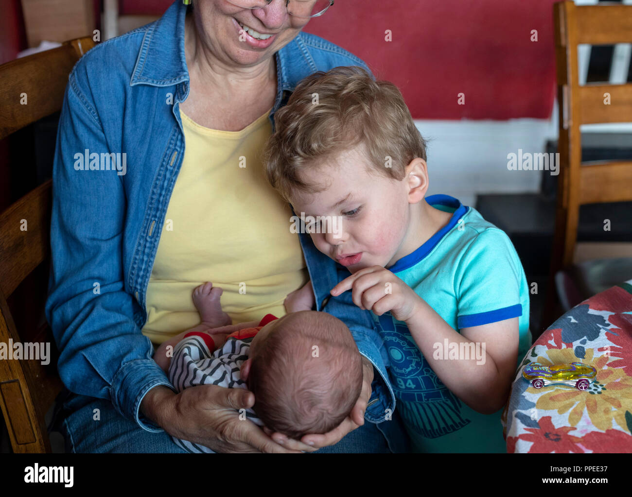 Wheat Ridge, Colorado - Adam Hjermstad Jr., 4, examines his newborn ...
