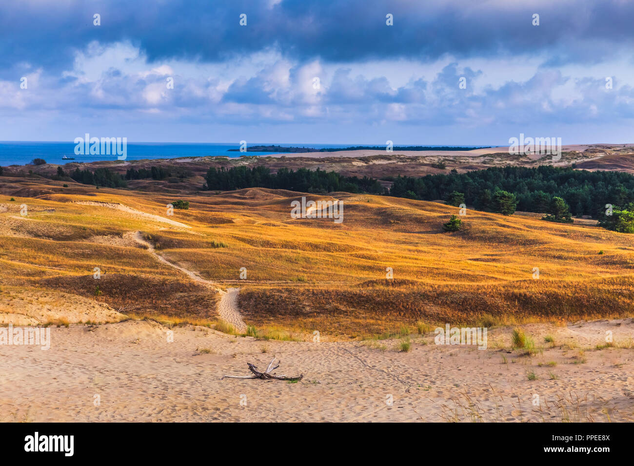 Nida beach lithuania hi-res stock photography and images - Alamy