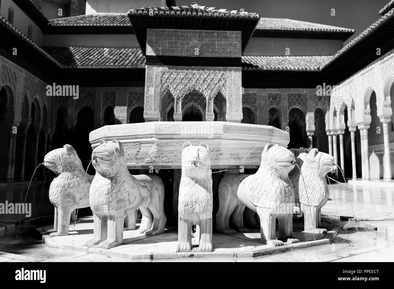 The Court of the Lions, a unique example of Muslim art, black and white ...
