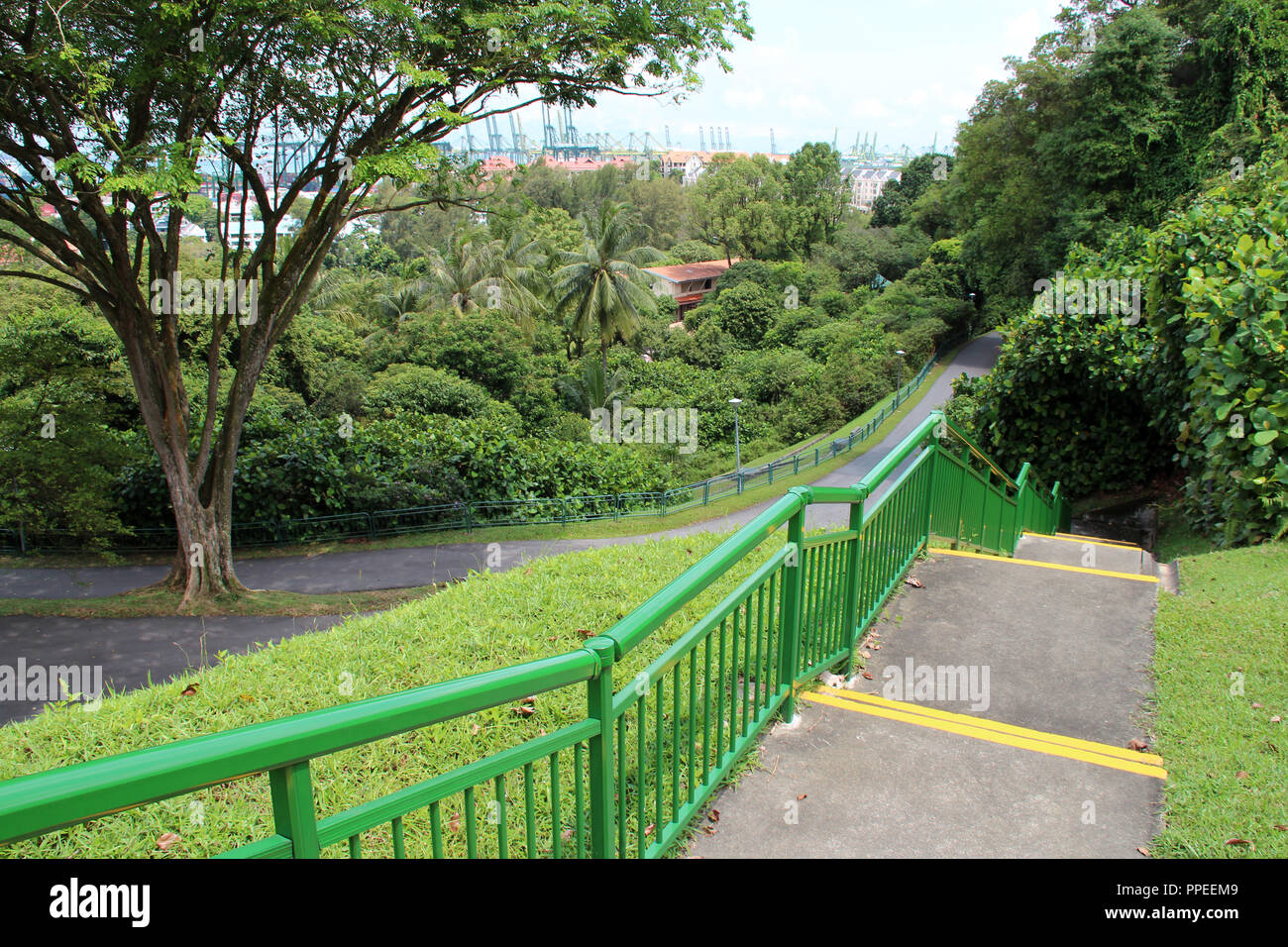 In the Kent Ridge Park in Singapore Stock Photo - Alamy