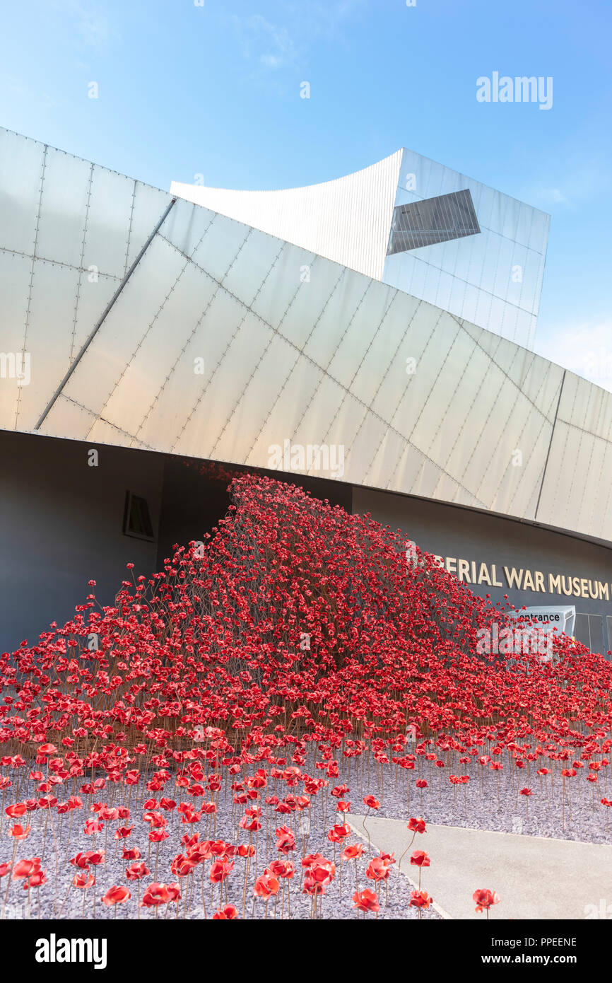 The iconic red poppy sculpture Wave by artist Paul Cummins and designer ...