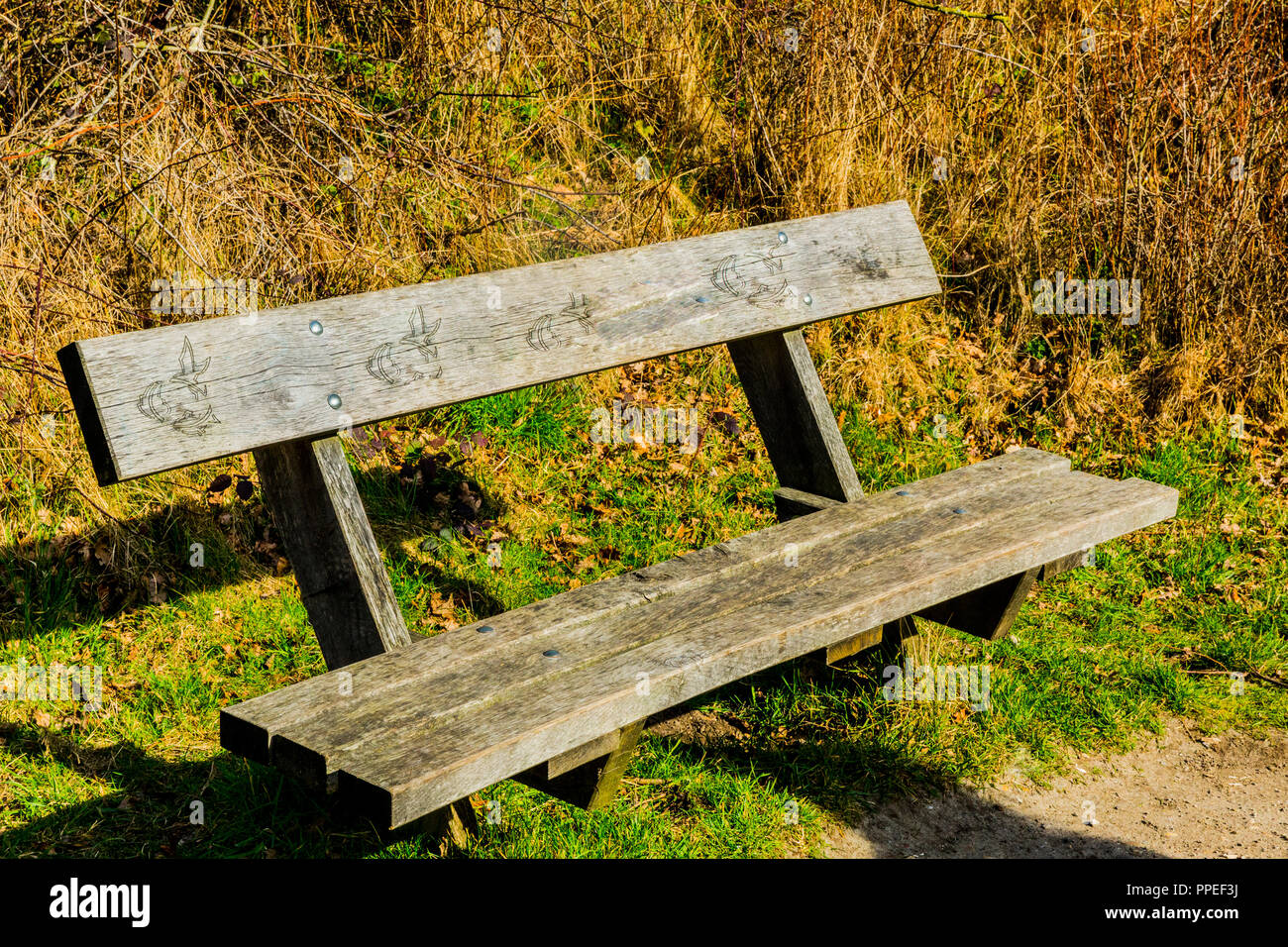 bench in a monument of nature Brunssummerheide in South Limburg in the ...