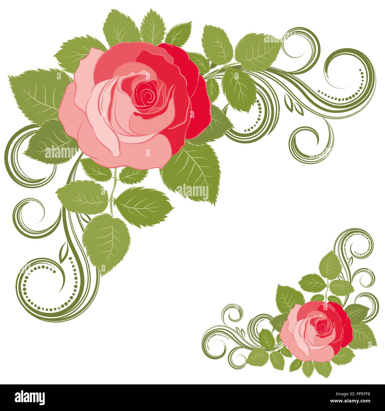 Rose and curls, vector illustration - Illustration for your design ...