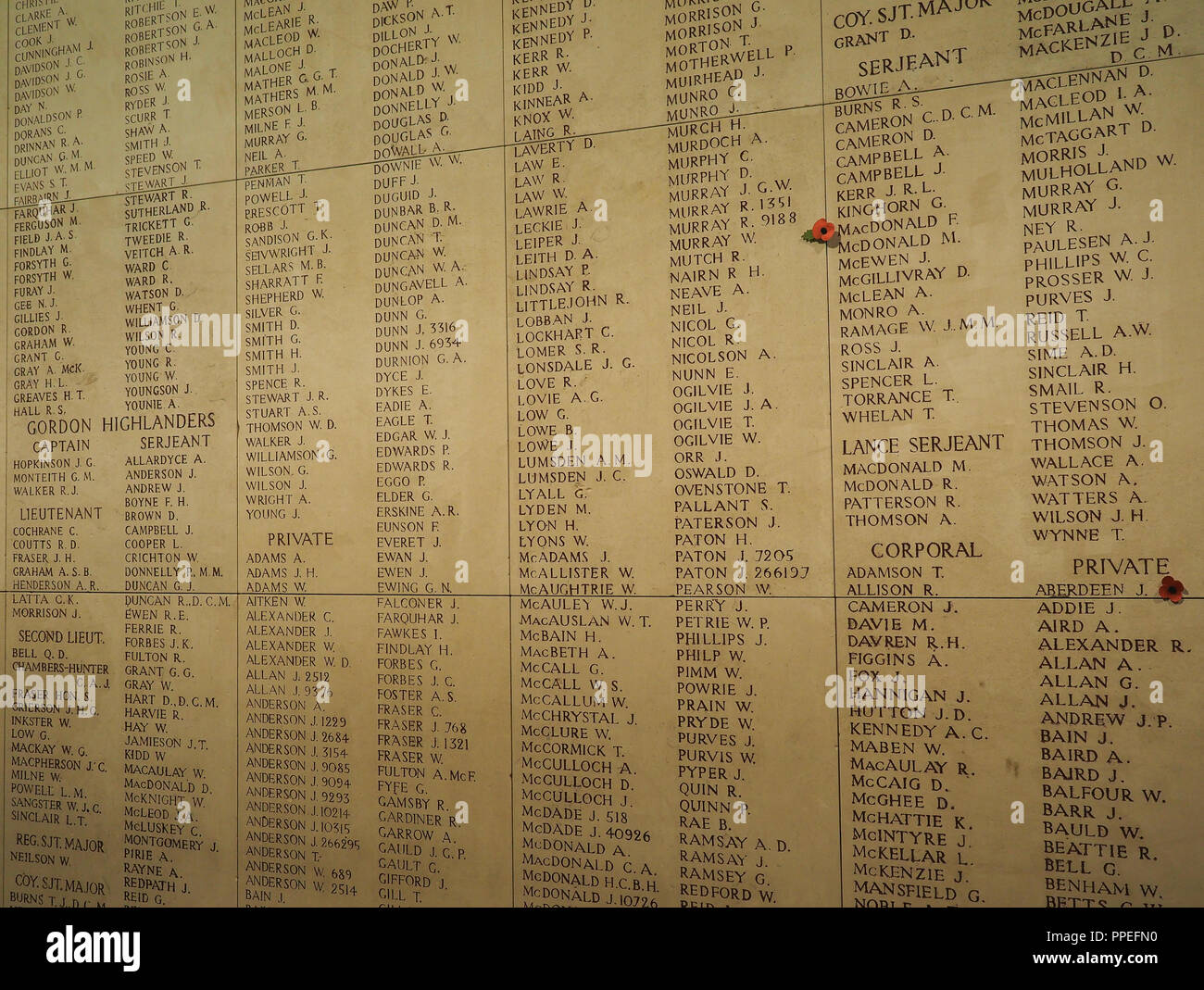 Ww1 soldier in poppy field hi-res stock photography and images - Alamy