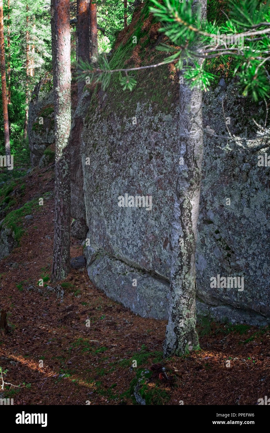 forest scenery in Kuivaketvele, Taipalsaari Finland Stock Photo - Alamy