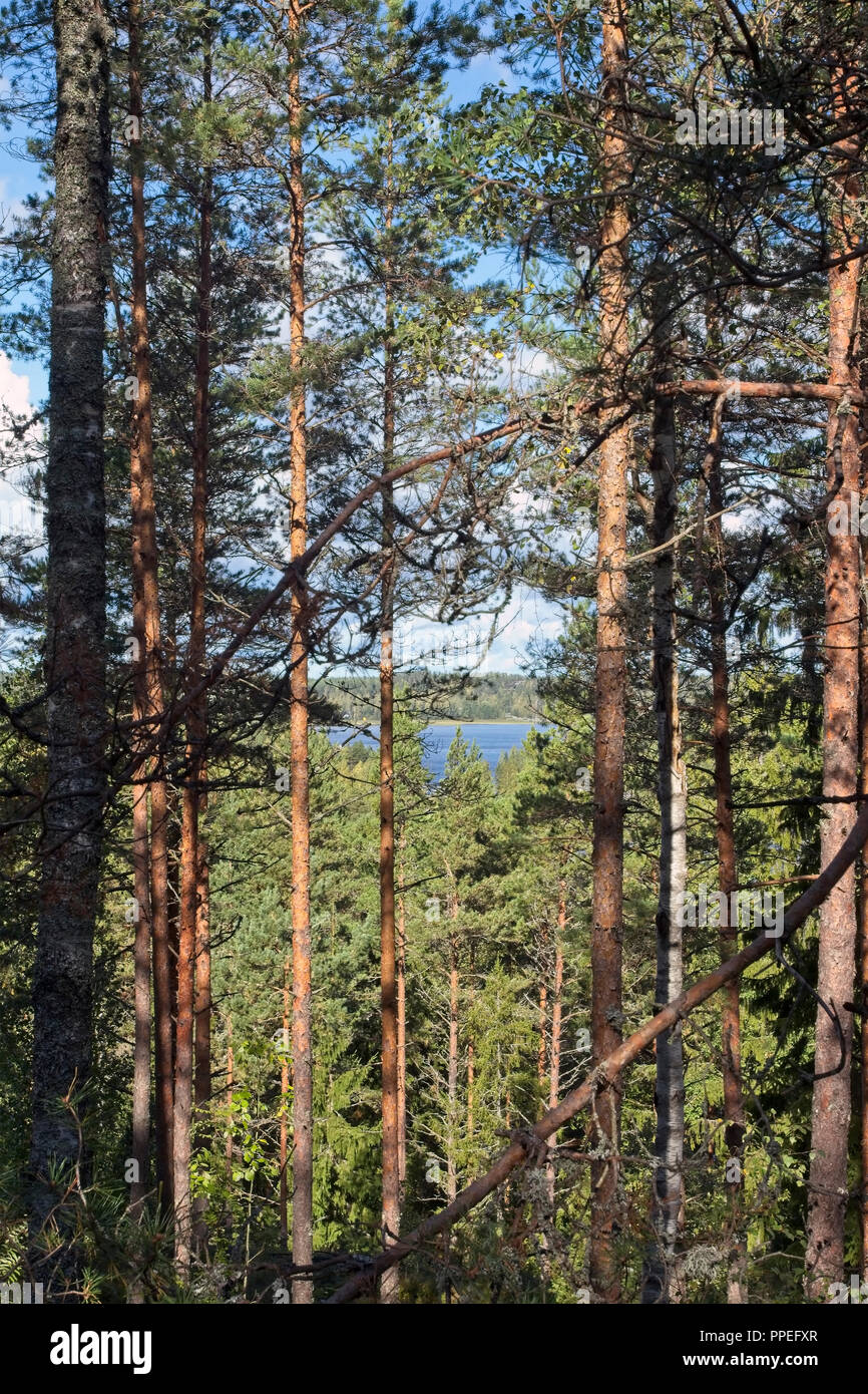 Taipalsaari finland hi-res stock photography and images - Alamy