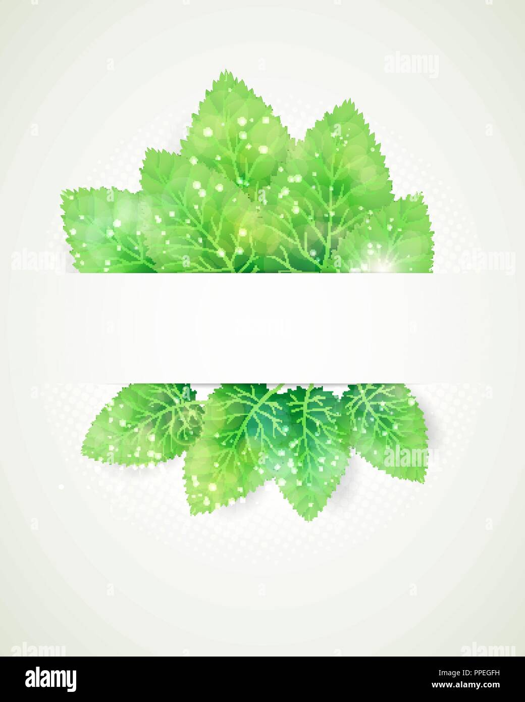 Green leaves abstract background Stock Vector Image & Art - Alamy