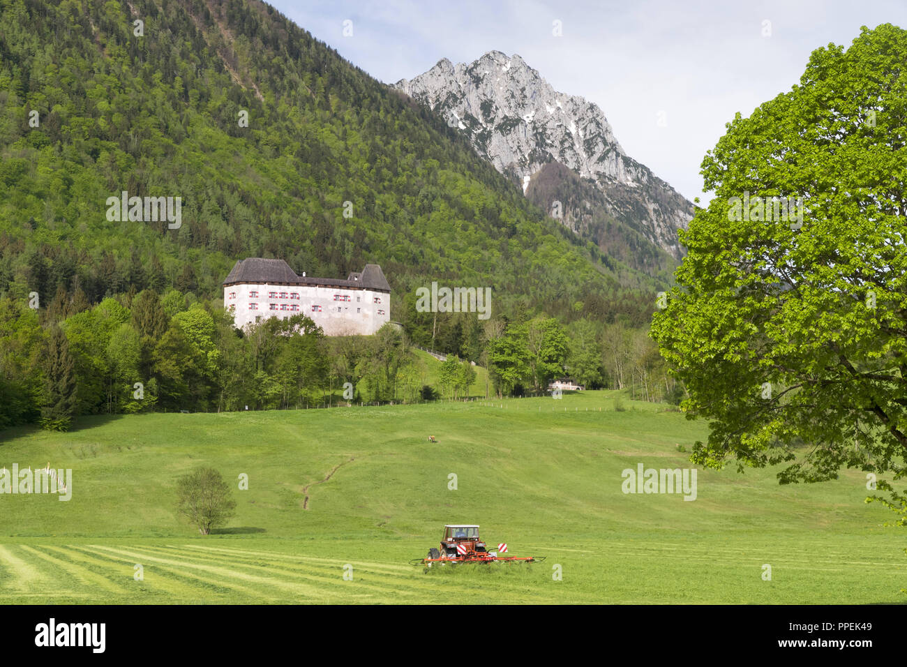 Farmer at work in front of Schloss Staufeneck with the Hochstaufen in ...