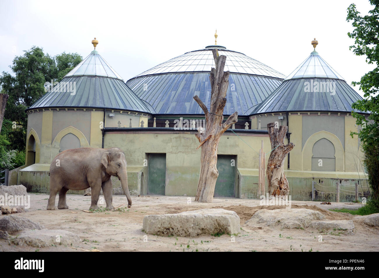 The elephant house in Hellabrunn Zoo that was in danger of collapsing ...
