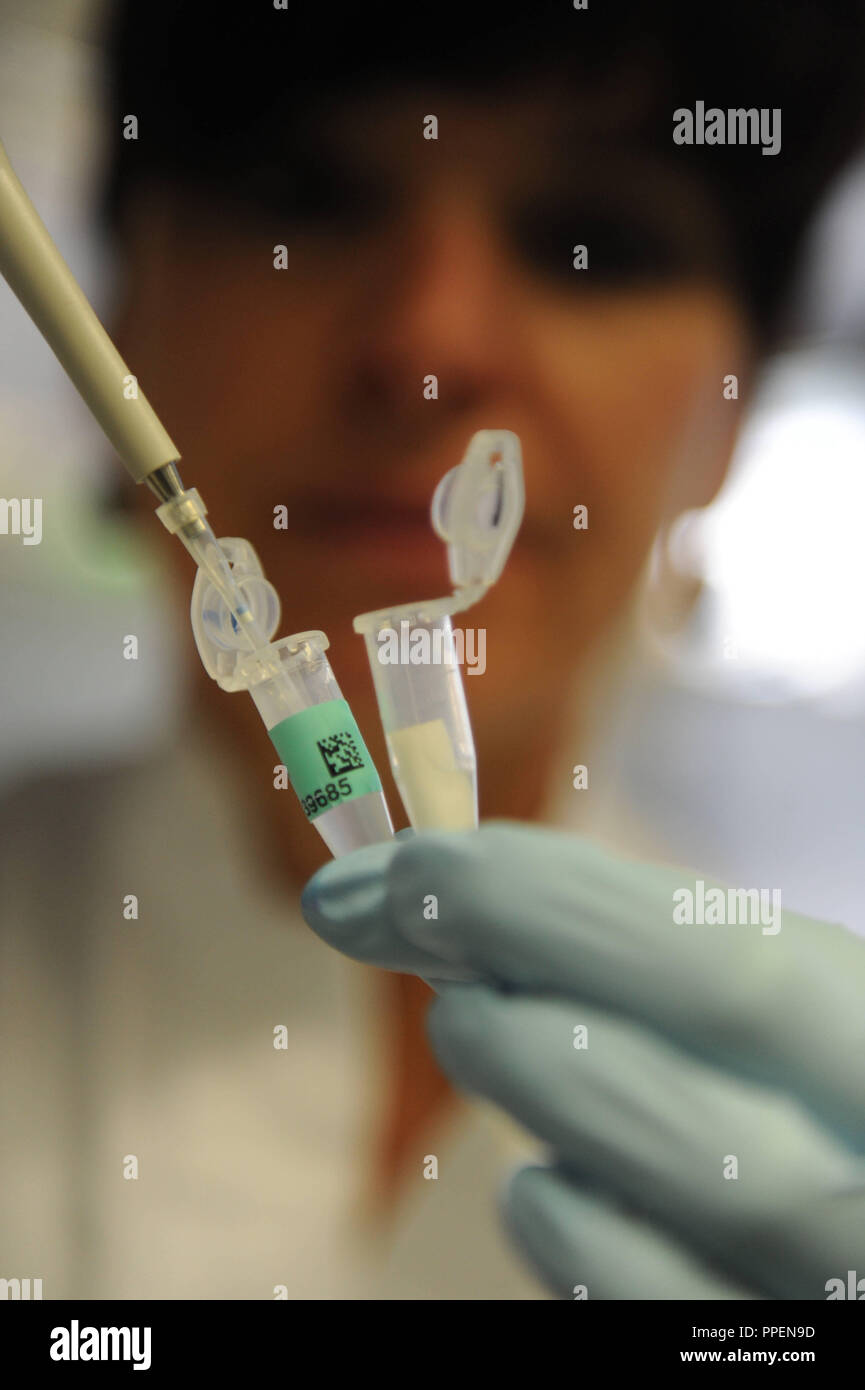 Laboratory head Birgit Bayer examining DNA samples from a test in the ...