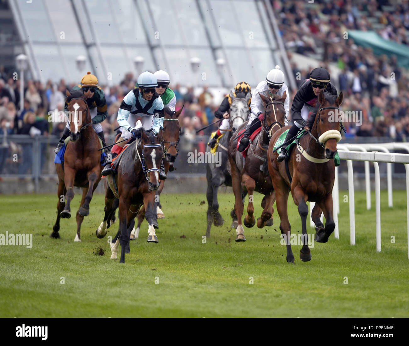Preliminary canter on the racecourse in Riem: right in the picture ...