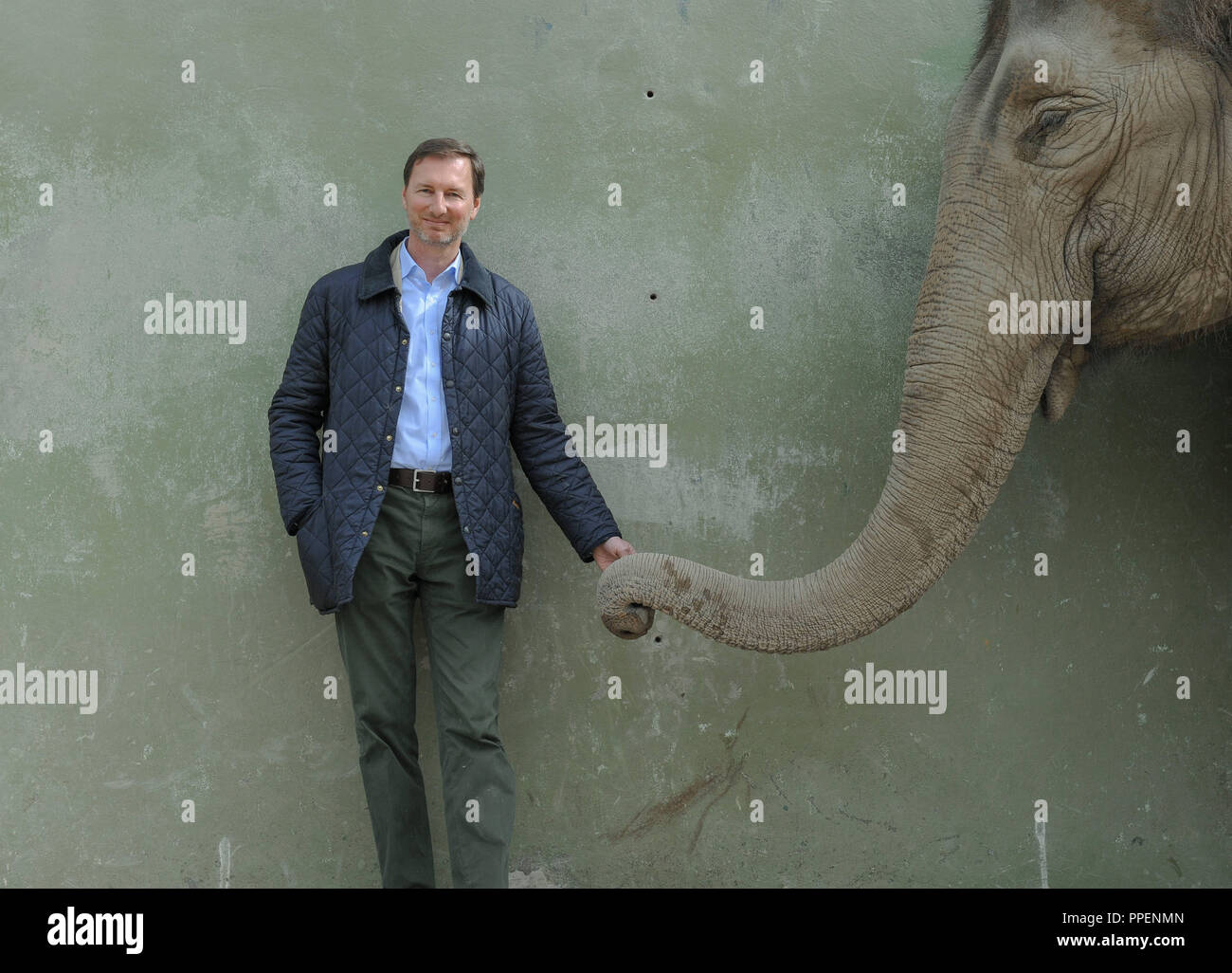 Zoo director Andreas Knieriem with cow elephant Panang in the Munich ...