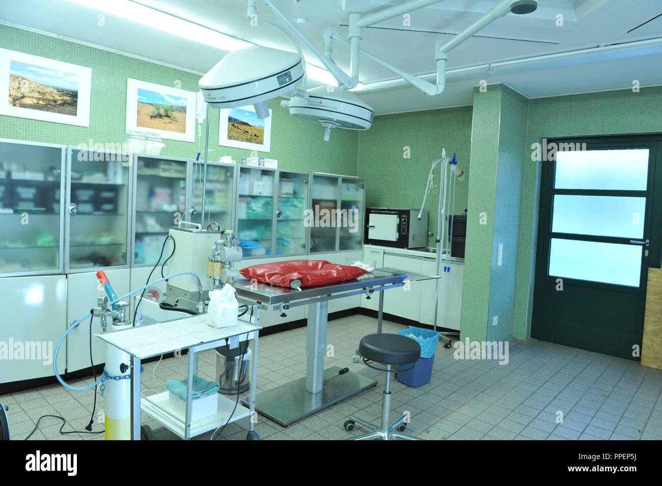 Operating room in the veterinary practice at Hellabrunn Zoo in Munich ...