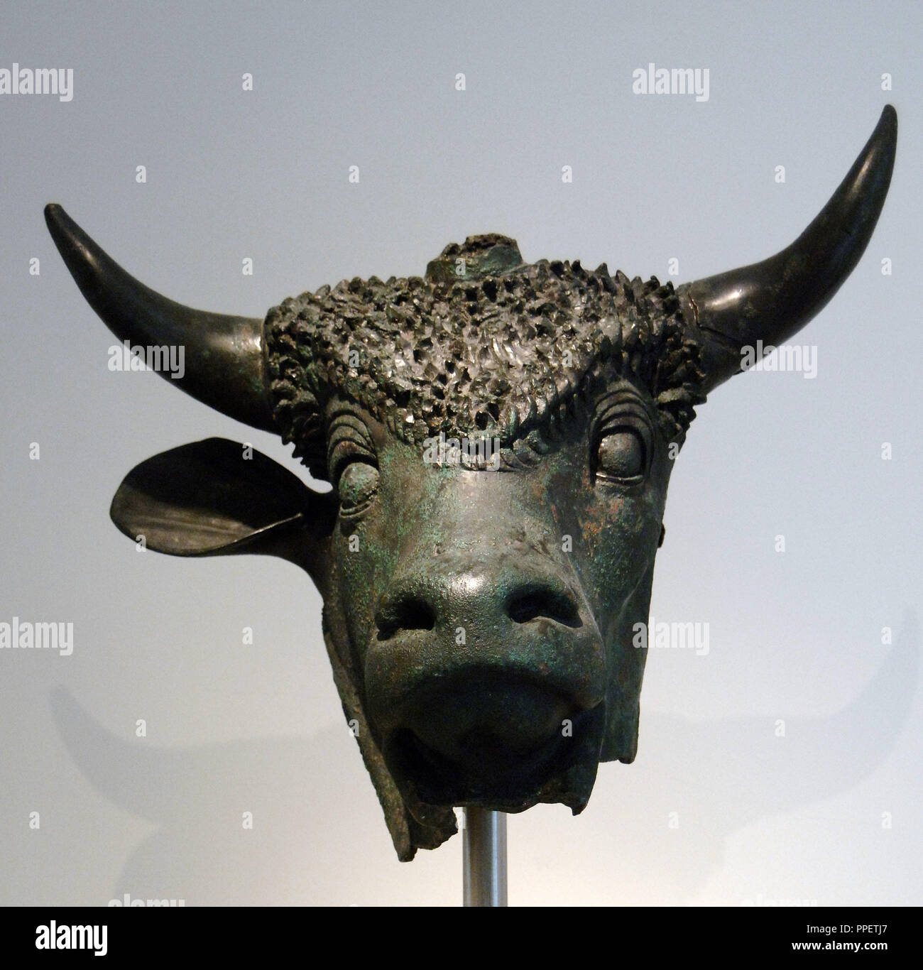 A sacred bull hi-res stock photography and images - Alamy
