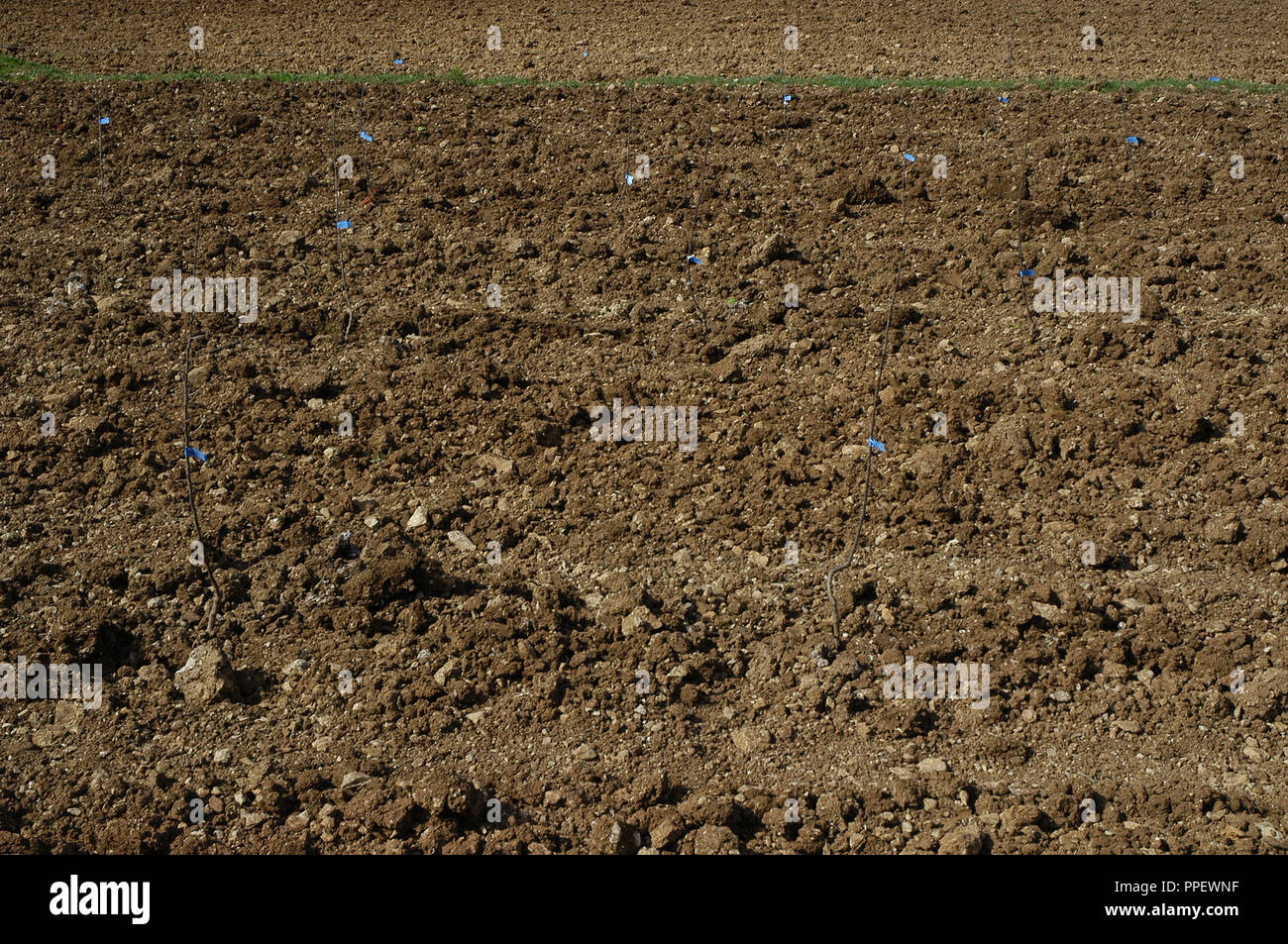 No till plot hi-res stock photography and images - Alamy