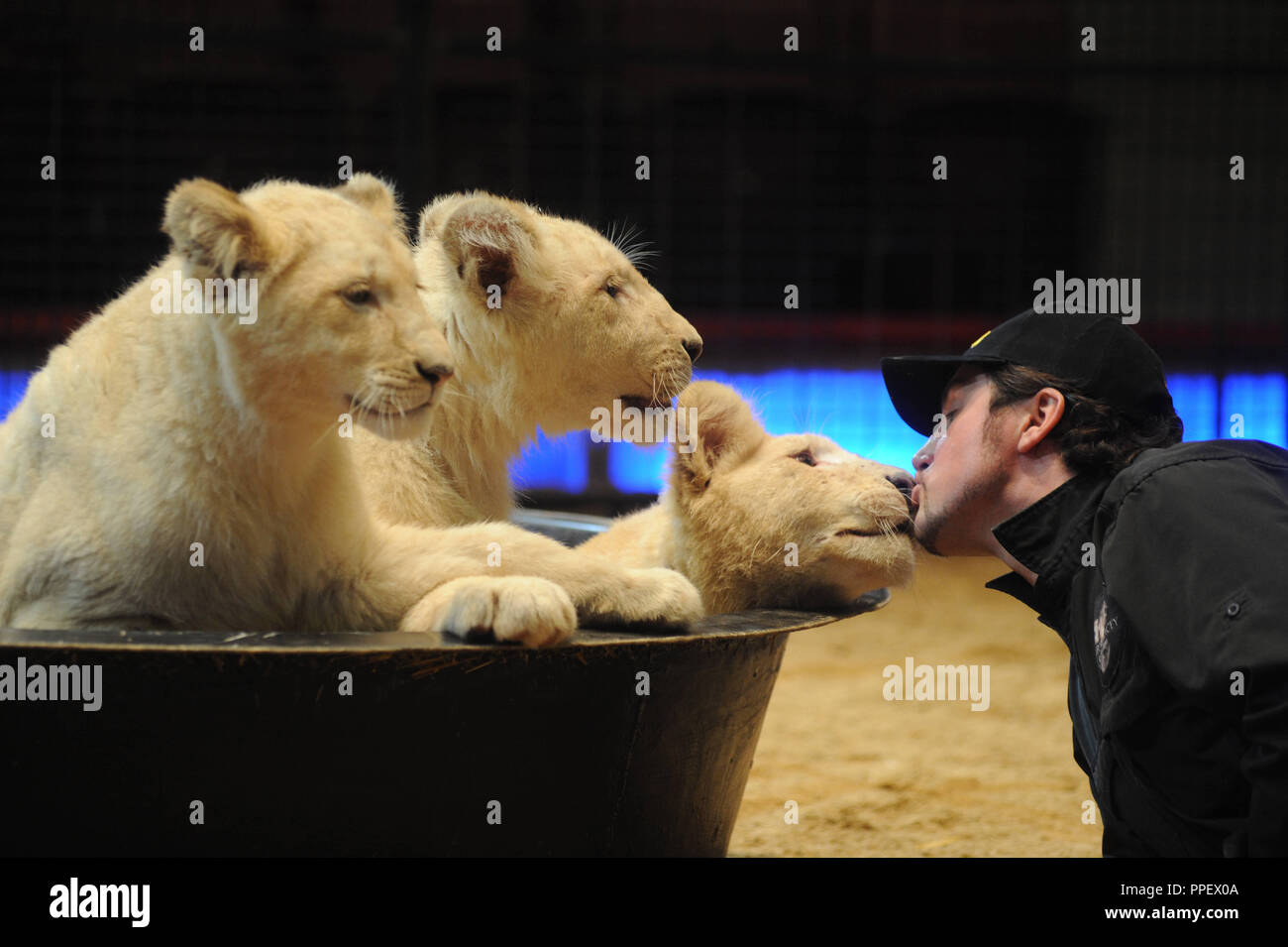 Circus Lion Tamer High Resolution Stock Photography and Images - Alamy
