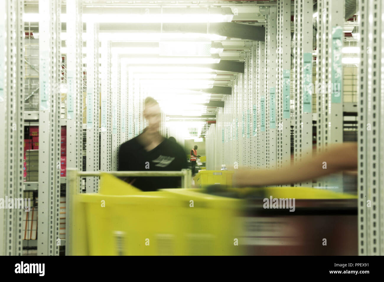 Employees between rows of shelves with books in the logistics center of ...
