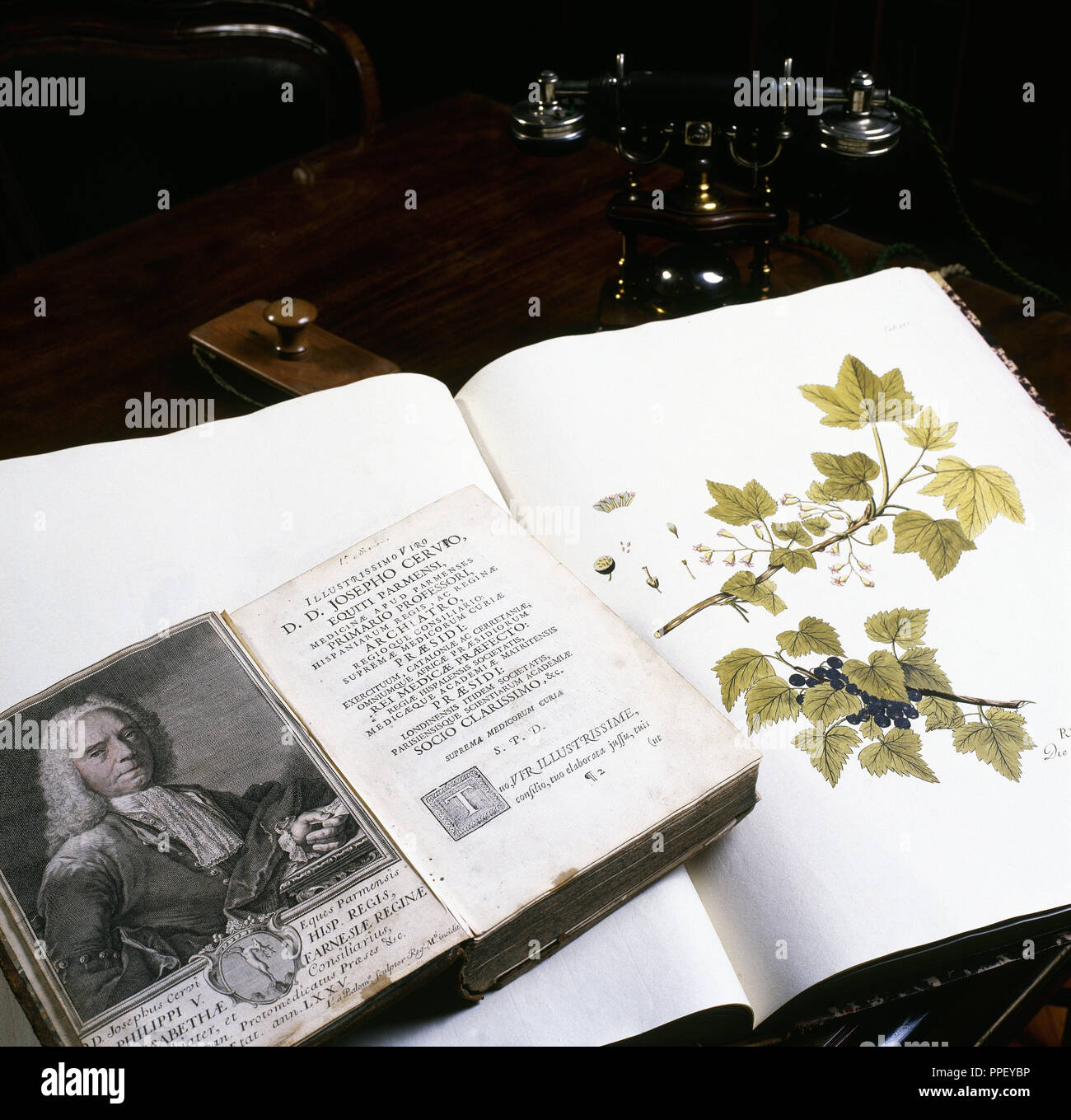 Detail of ancient books about medicine and herbs. Library of the Royal ...