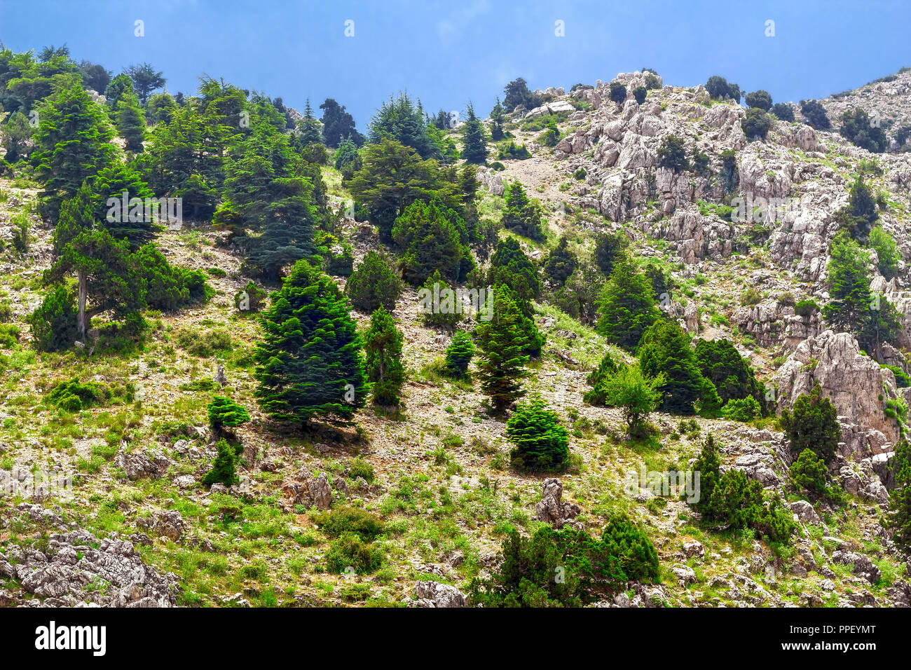 Lebanese Mountains High Resolution Stock Photography and Images - Alamy
