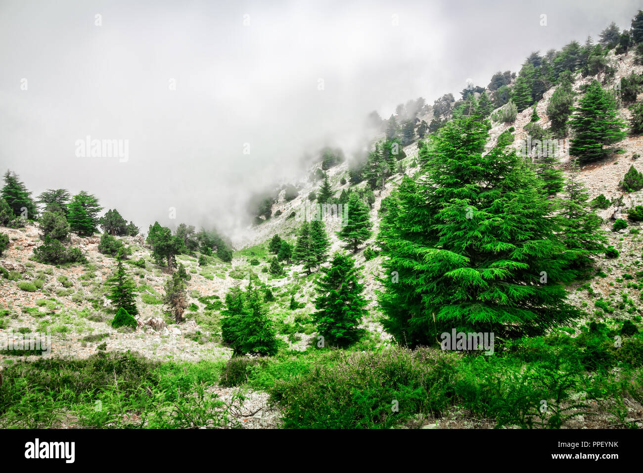 Lebanon mountains mist hi-res stock photography and images - Alamy