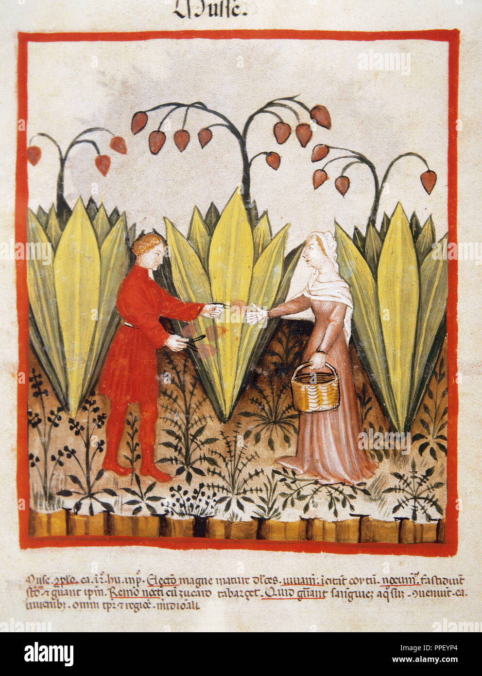 Tacuinum Sanitatis. Medieval Health Handbook, dated before 1400, based ...