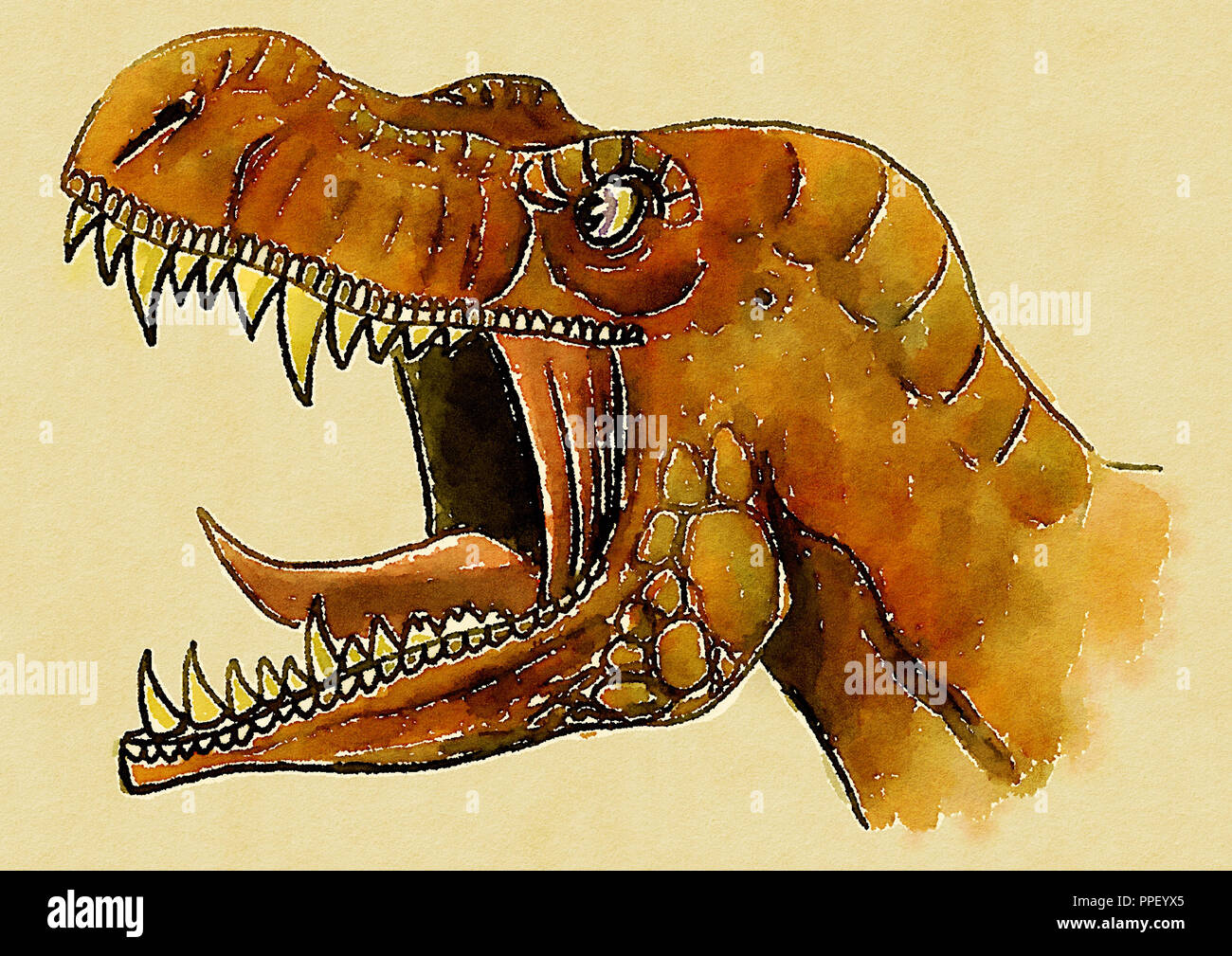 Tyrannosaurus Rex head illustration Stock Photo - Alamy