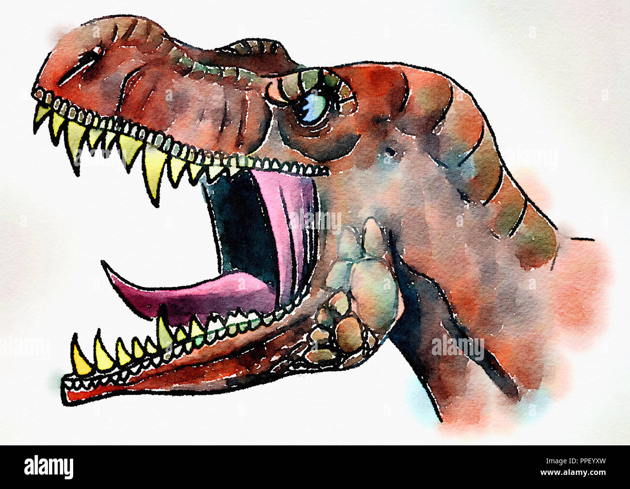 Tyrannosaurus Rex head illustration Stock Photo - Alamy