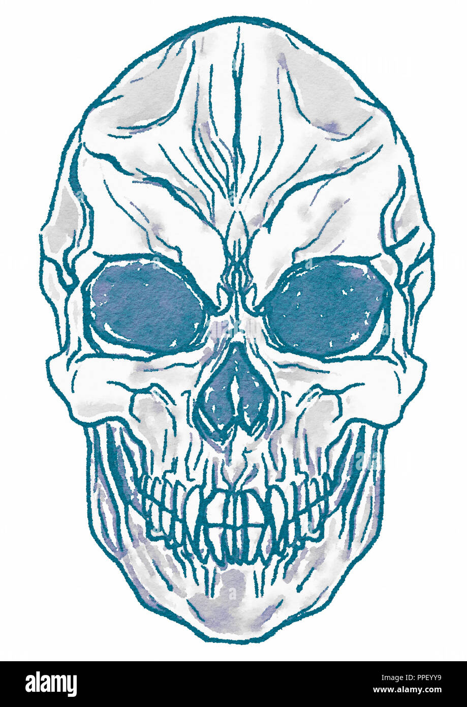 Vampire skull illustration Stock Photo - Alamy