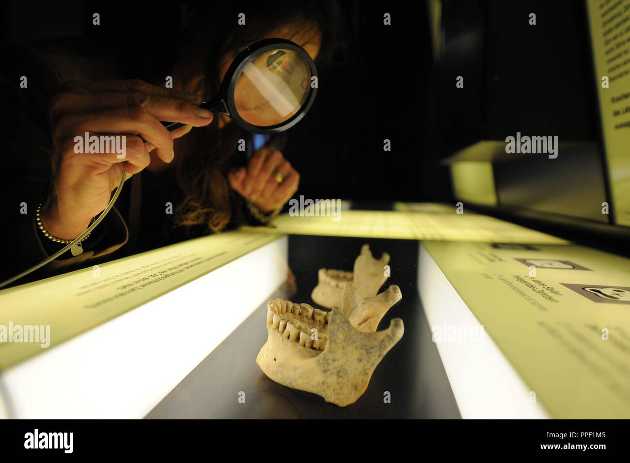 Ice mummy archaeology hi-res stock photography and images - Alamy