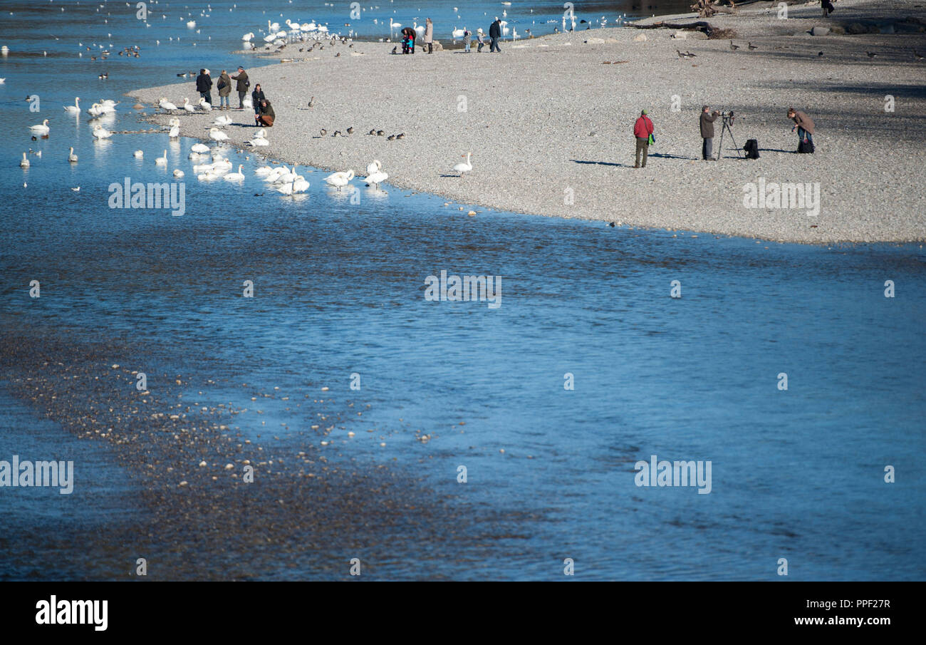 Flaucher at isar river hi-res stock photography and images - Alamy
