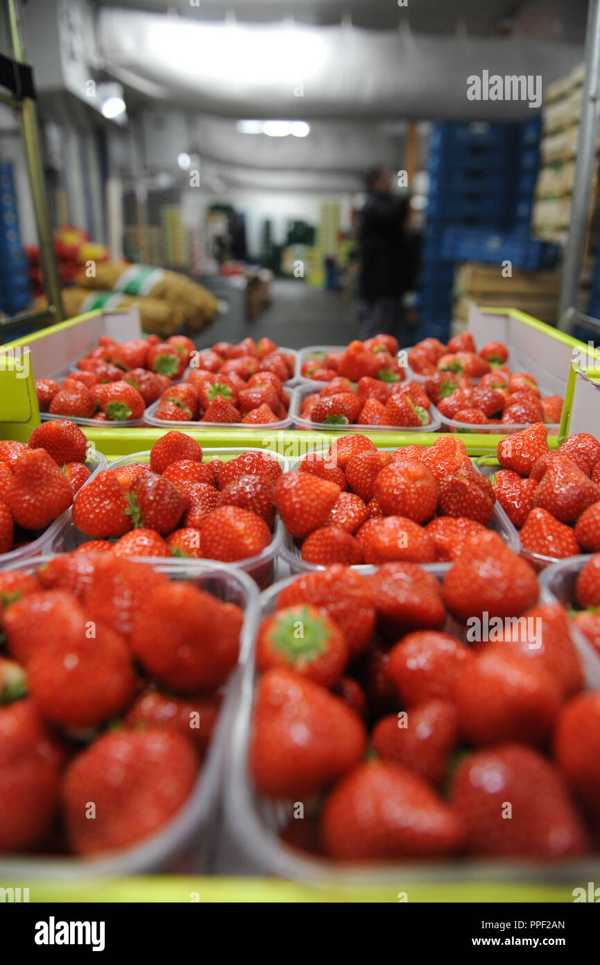 Strawberries in winter at 'Fruitique', Munich, Germany Stock Photo - Alamy