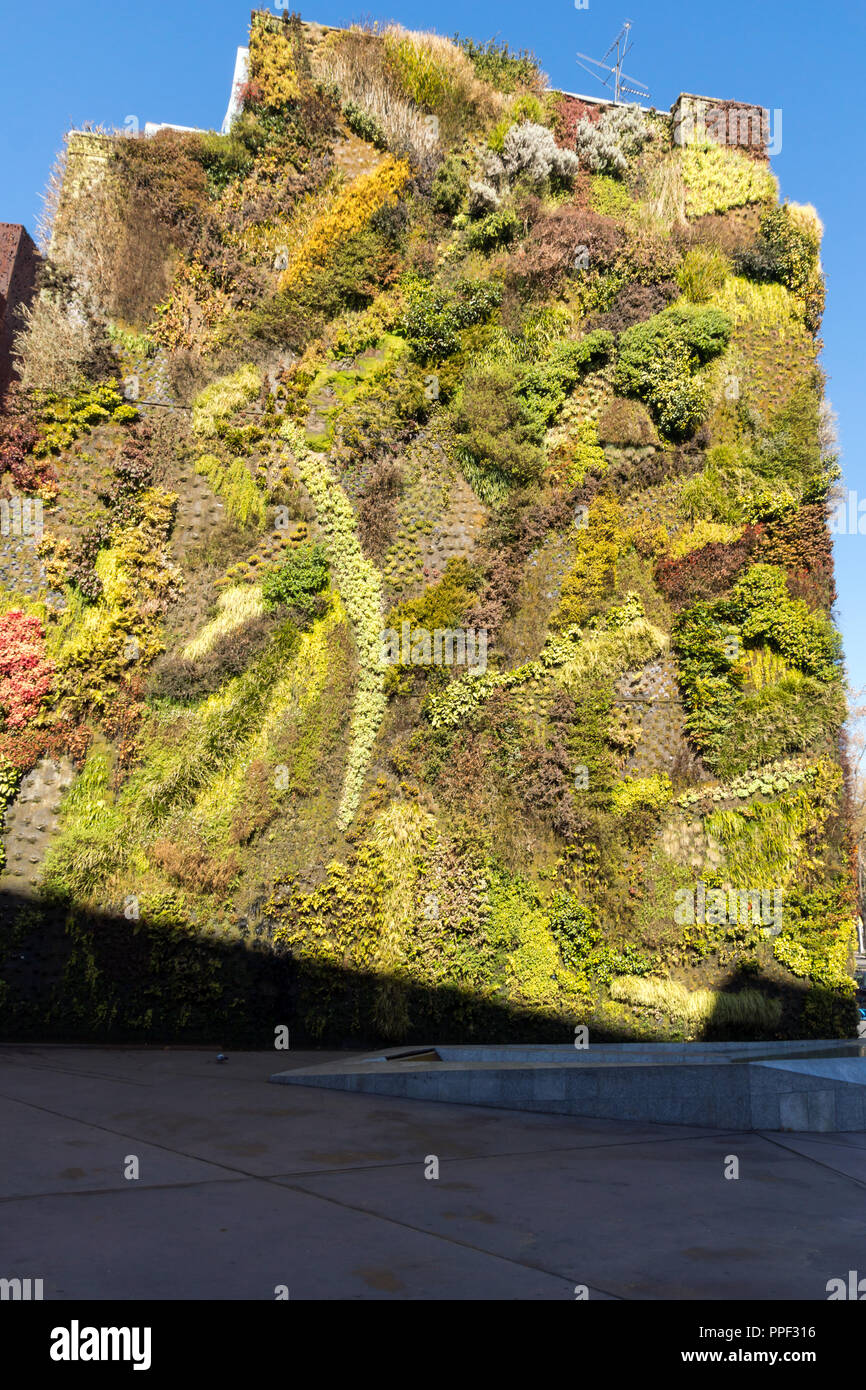 MADRID, SPAIN - JANUARY 22, 2018: Vertical garden wall and CaixaForum ...