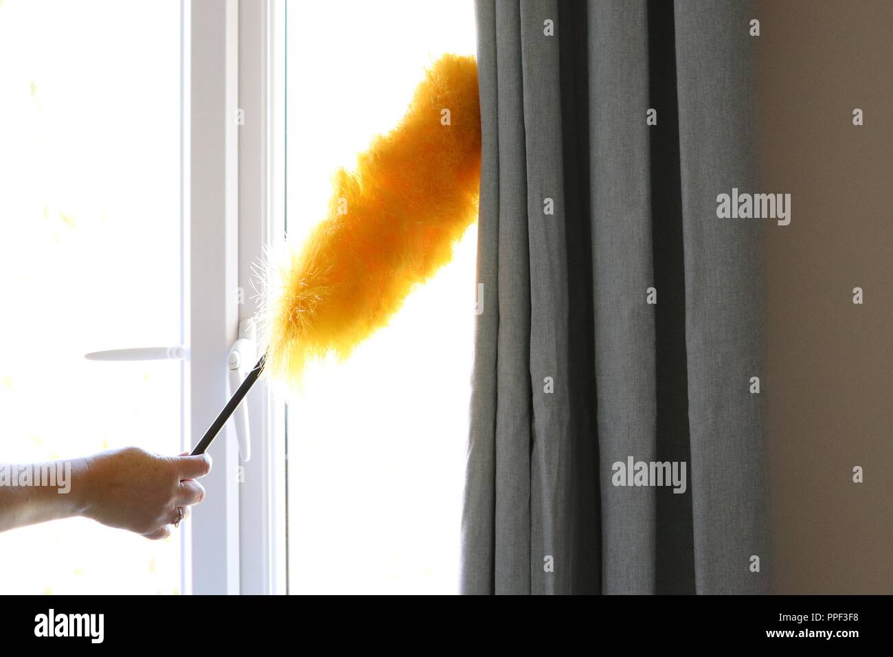 Dusting cleaning household chores. Ladies arm reaching up wo window and ...