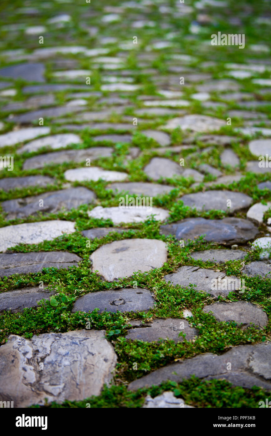 Mossy cobbles hi-res stock photography and images - Alamy