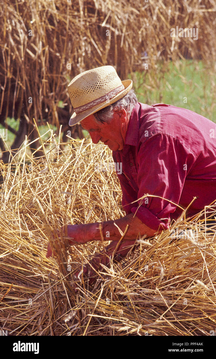 In the courtyard of the Farm Museum the steam engine operates the ...