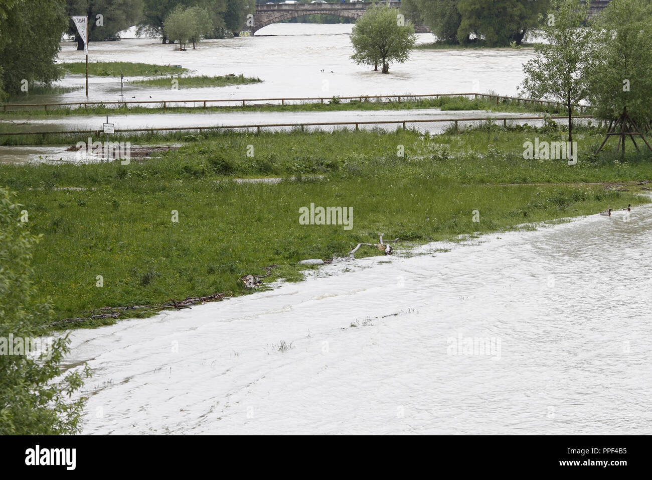 Flooding along the River Isar between the Reichenbach bridge and the ...