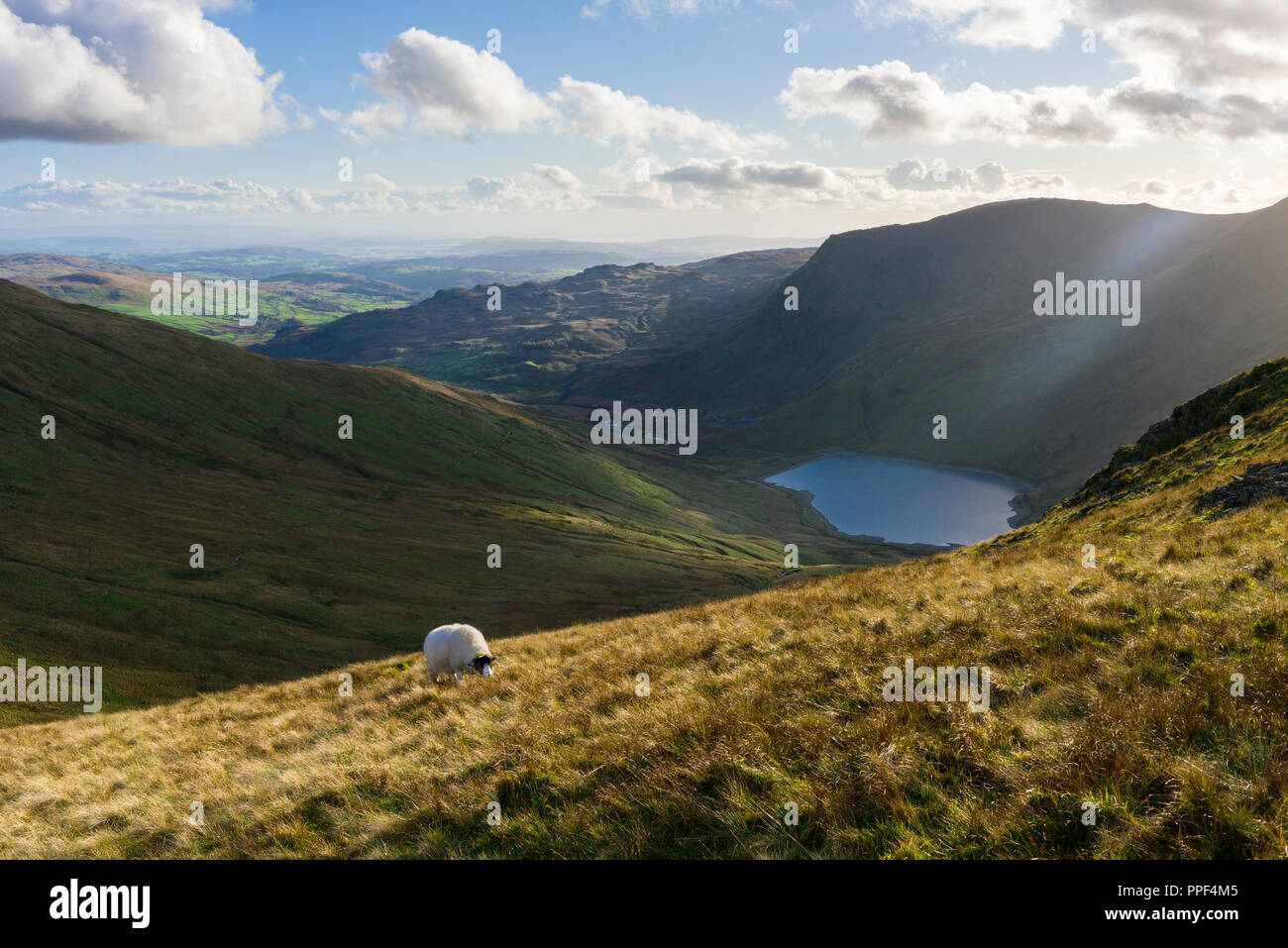 Kentmere Reservoir from Harter Fell in the Lake District National Park ...