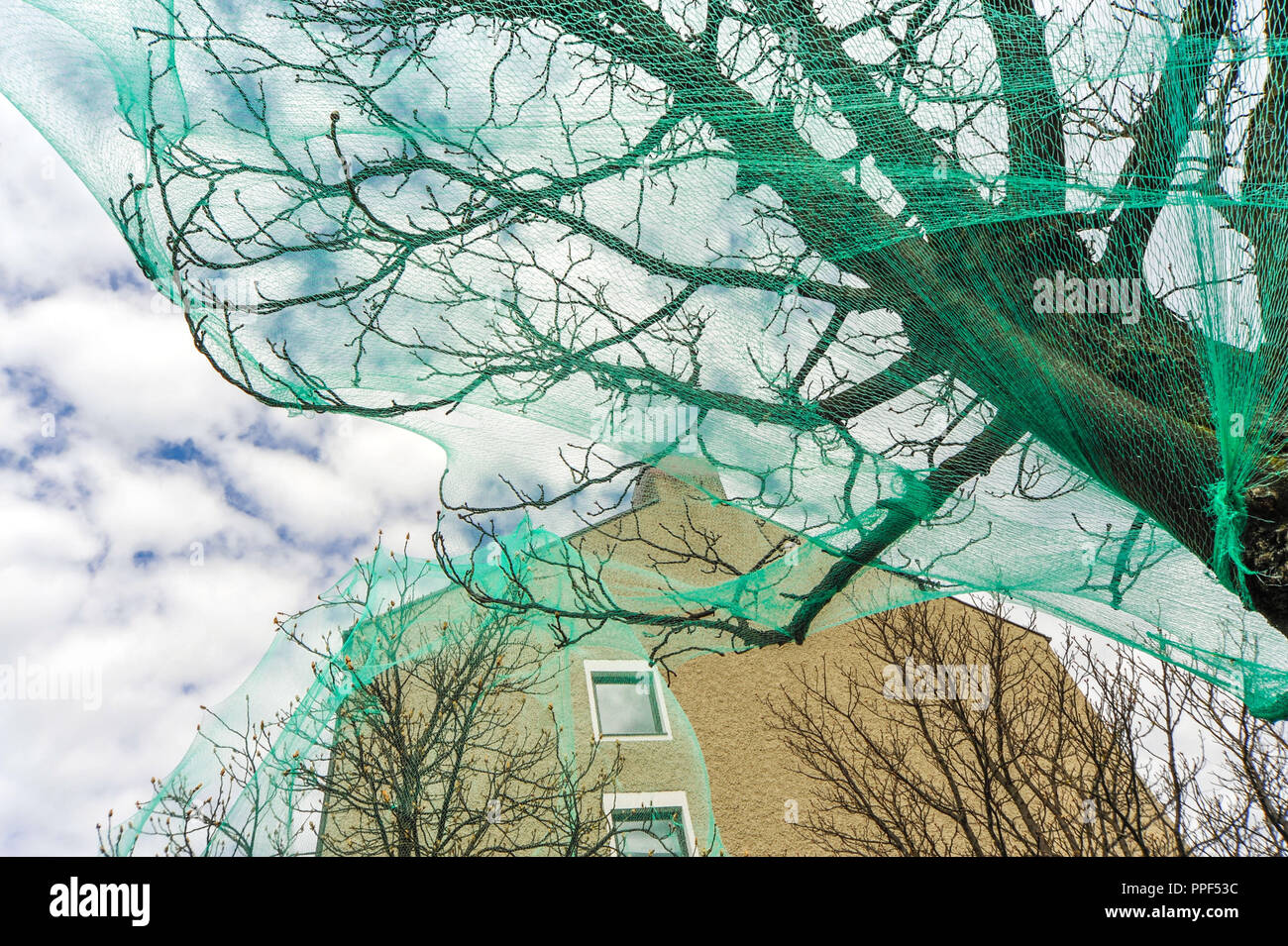 In the area between Jean-Paul Richter Strasse, Konrad-Celtis-Strasse ...
