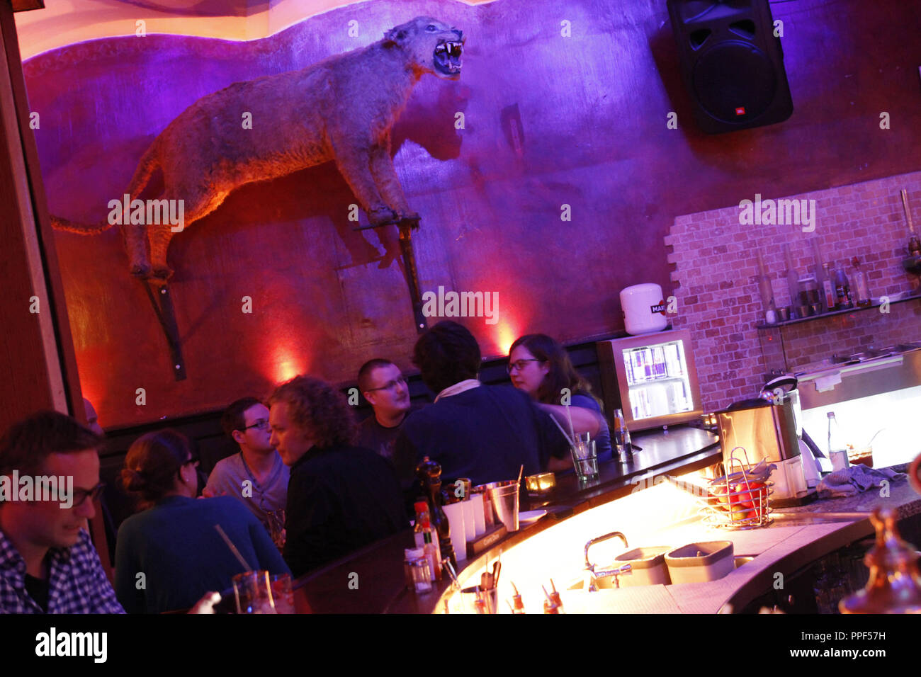 The masters bar public house hi-res stock photography and images - Alamy